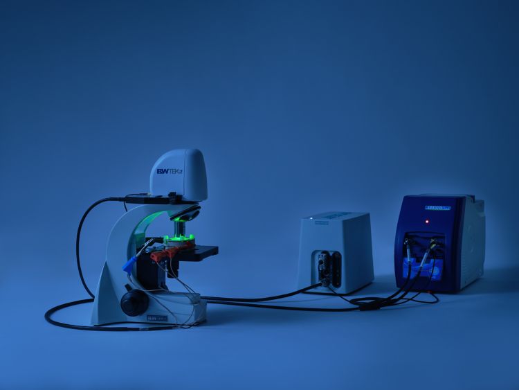 Monitoring ferrocyanide oxidation using hyphenated EC-Raman | Metrohm