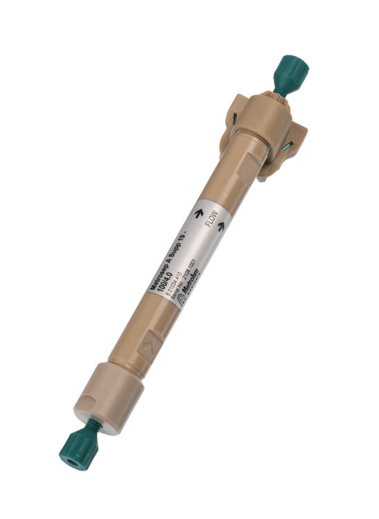Metrosep A Supp 19 - 100/4.0 | Metrohm
