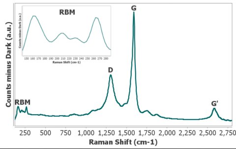 Characterization of single-walled carbon nanotubes by Raman ...
