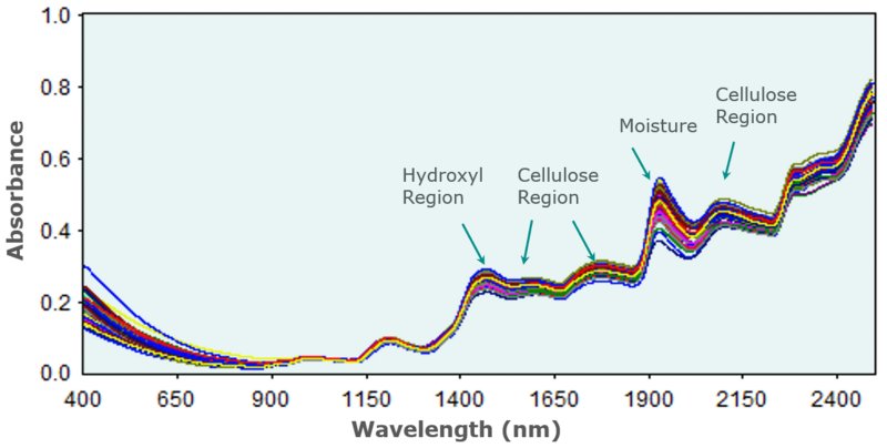 Pulp and paper QC and product screening with NIR spectroscopy | Metrohm