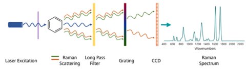 Frequently Asked Questions (FAQ) about Raman spectroscopy: Theory and ...