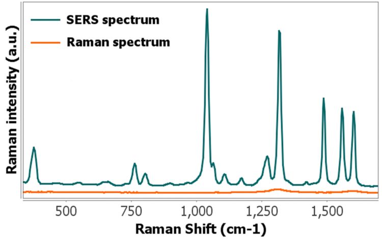 Raman spectroelectrochemistry from India to Spain: History and ...