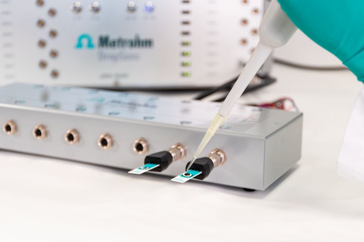 Developing an electrochemical (bio)sensor | Metrohm