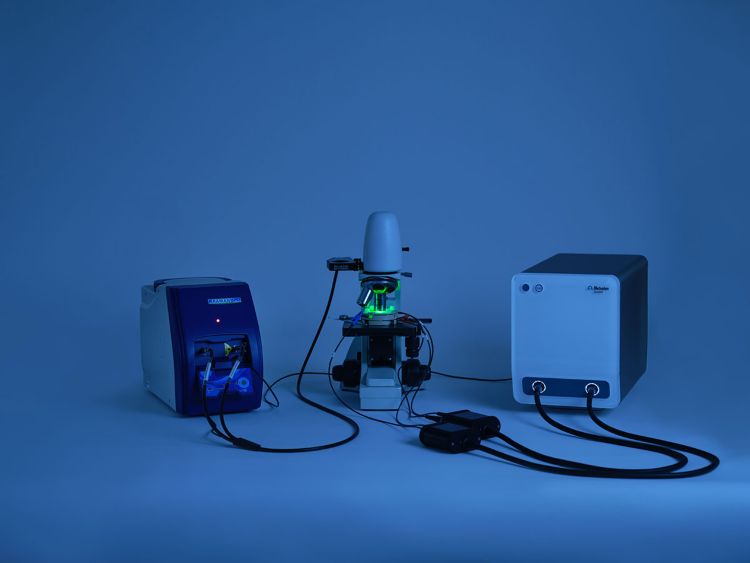 Utilizing hyphenated EC-Raman to study a model system | Metrohm