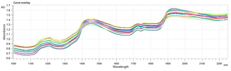 Monitoring quality of intact olives with near-infrared spectroscopy ...