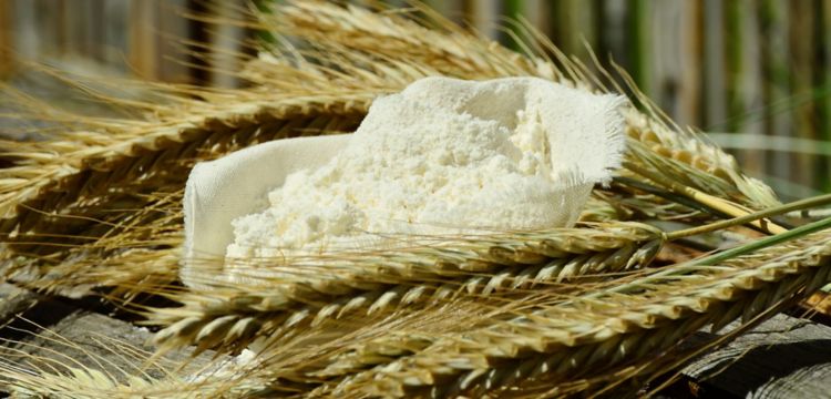 Inline detection of wheat flour adulteration by NIR spectroscopy | Metrohm