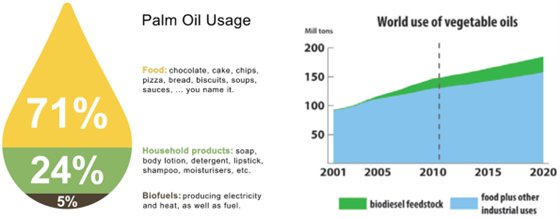 Screening and quality control of palm oil with NIR spectroscopy | Metrohm